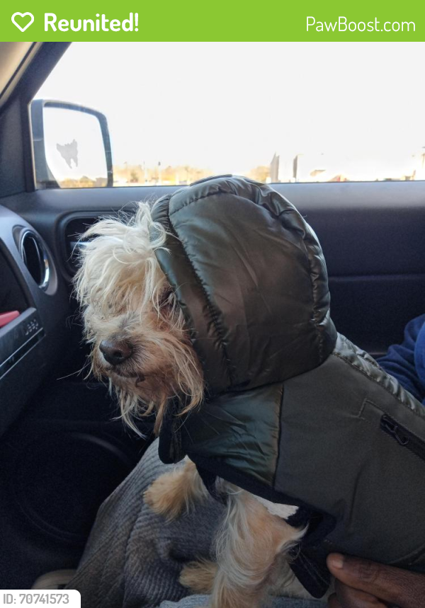 Reunited Male Dog in Biloxi, MS 39530 (ID: 70741573) | PawBoost