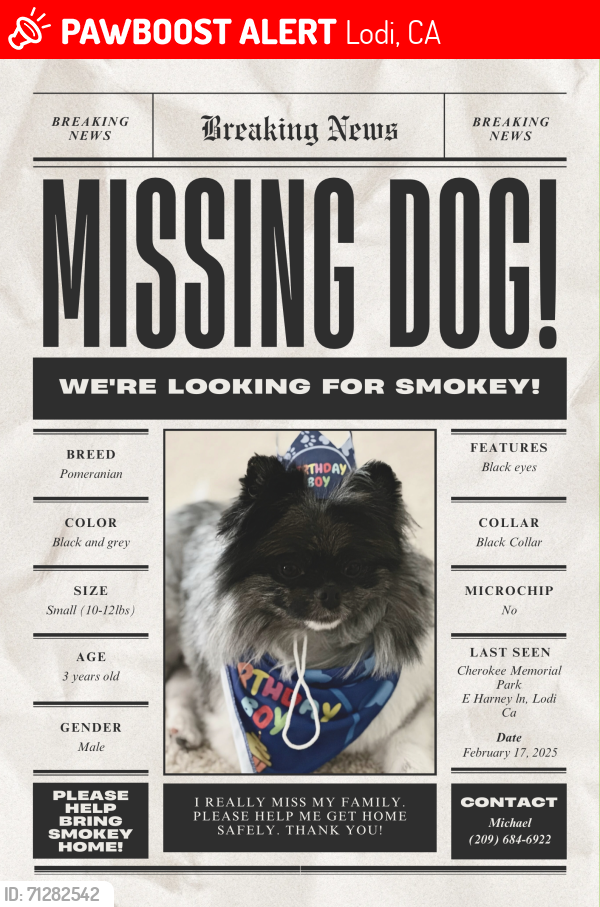 Lodi, CA Lost Male Dog, Smokey Is Missing | PawBoost