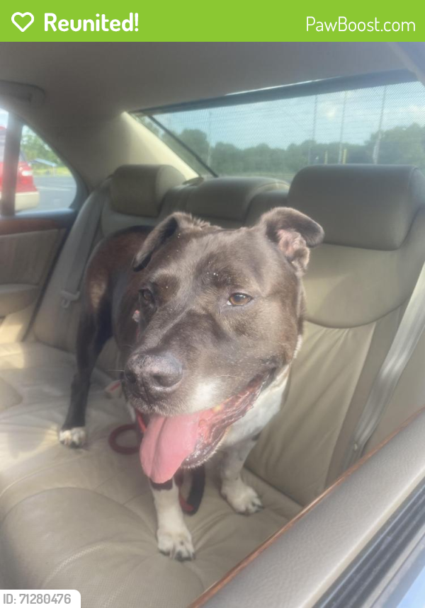 Reunited Male Dog in Alabaster, AL 35007 (ID: 71280476) | PawBoost