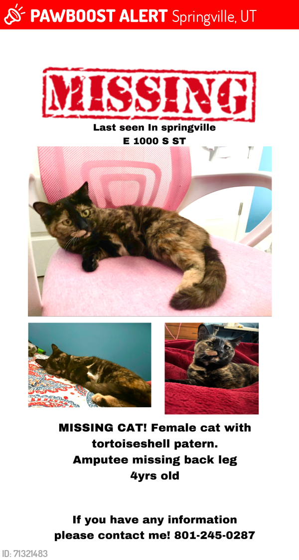Springville, UT Lost Female Cat, Mello Is Missing | PawBoost