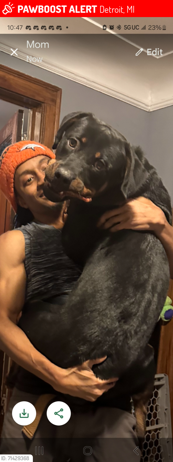 Detroit, MI Lost Male Dog, Onyx Is Missing | PawBoost