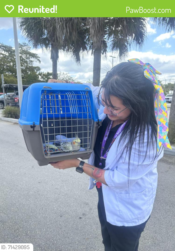 Reunited Female Bird in Plantation, FL 33324 (ID: 71429095) | PawBoost