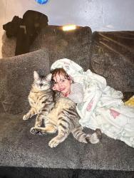 Lost Pets in Hartford, CT - Find Missing Pets | PawBoost