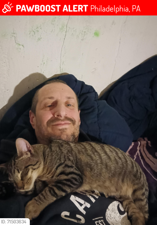 Philadelphia, PA Lost Male Cat, Sushi Is Missing | PawBoost