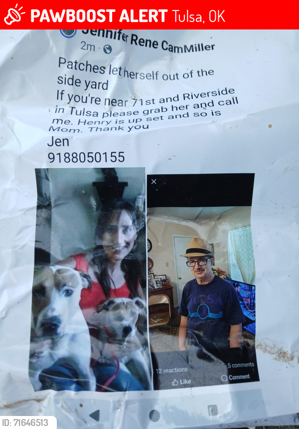 Tulsa, OK Lost Female Dog, Patches Is Missing | PawBoost