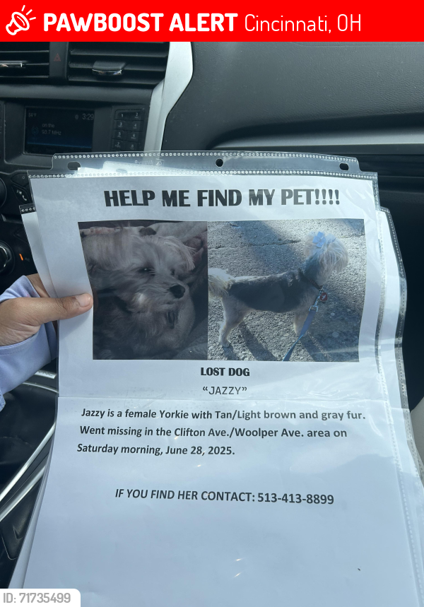 Cincinnati, OH Lost Female Dog, Jazzy Is Missing | PawBoost