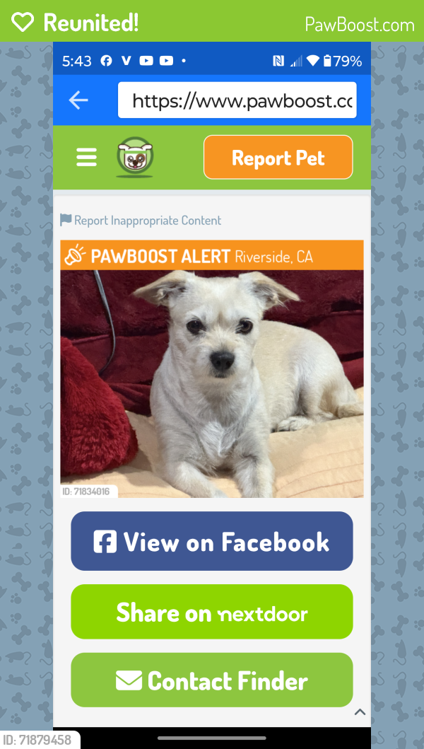 Reunited Female Dog in Azusa, CA 91702 (ID: 71879458) | PawBoost