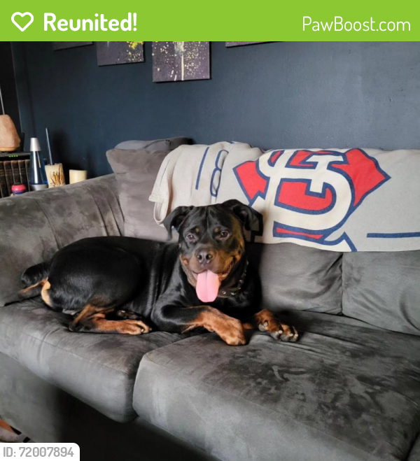 Reunited Male Dog in St. Peters, MO 63376 (ID: 72007894) | PawBoost