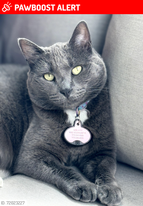 Highlands Ranch, CO Lost Female Cat, Miss Kitty Is Missing | PawBoost