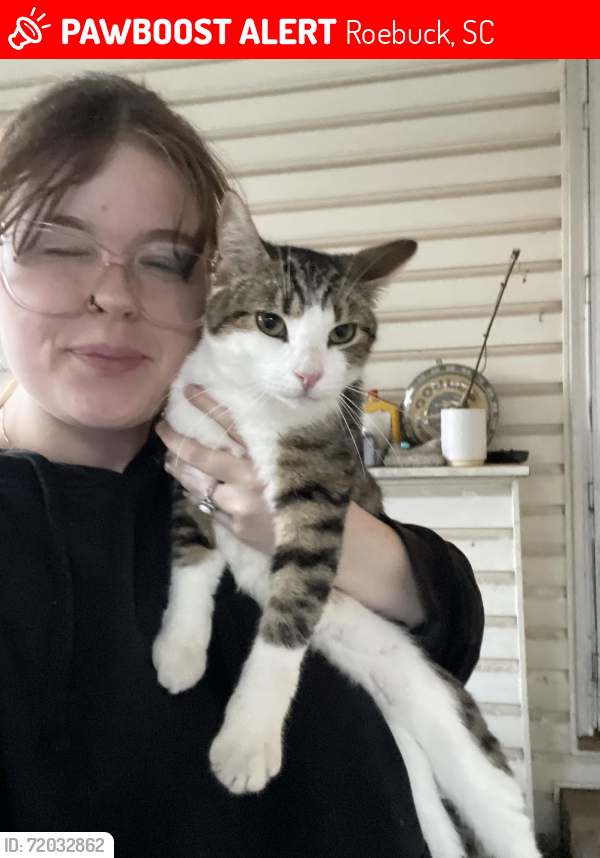 Roebuck, SC Lost Male Cat, Zenitsu Is Missing | PawBoost