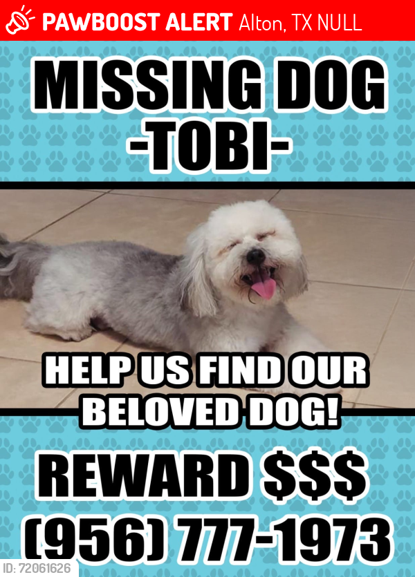 Alton, TX Lost Male Dog, Tobi Is Missing | PawBoost