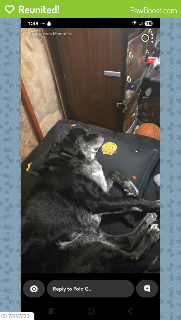 Reunited Male Dog in Waterloo, IA 50707 (ID: 72147273) | PawBoost