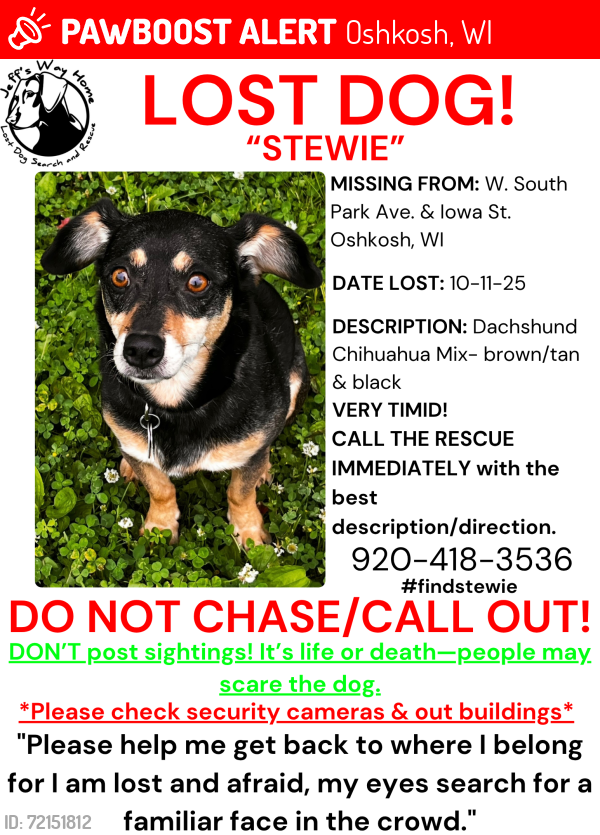 Oshkosh, WI Lost Male Dog, Stewie Is Missing | PawBoost