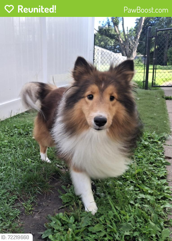 Reunited Male Dog in Saint Paul, MN 55119 (ID: 72219660) | PawBoost