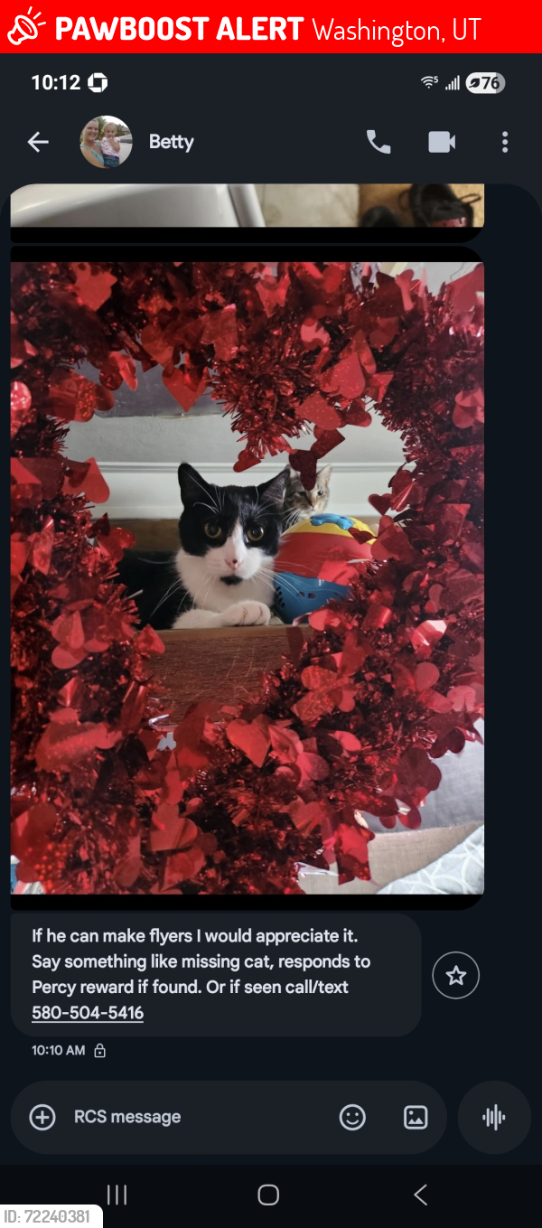 Washington, UT Lost Male Cat, Percy Is Missing | PawBoost
