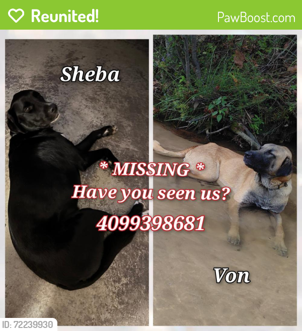 Reunited Female Dog in Goodrich, TX 77335 (ID: 72239930) | PawBoost