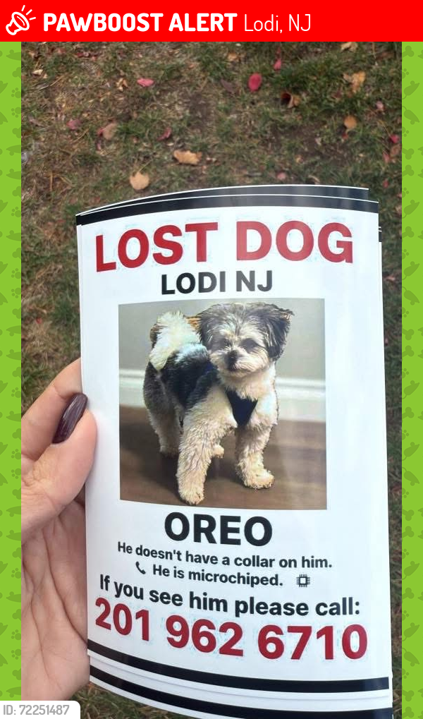 Lodi, NJ Lost Male Dog, Oreo Is Missing | PawBoost