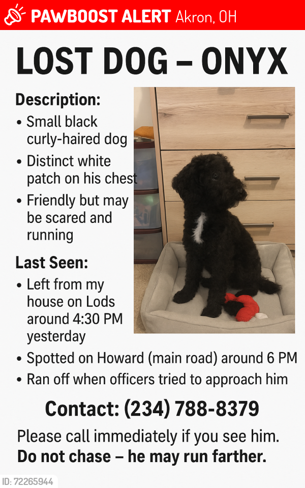 Akron, OH Lost Male Dog, Onyx Is Missing | PawBoost