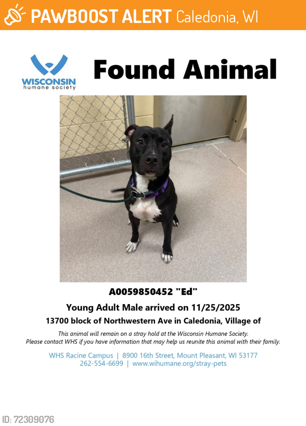 Caledonia, WI Stray Male Dog Found Near Pilot truck stop | PawBoost
