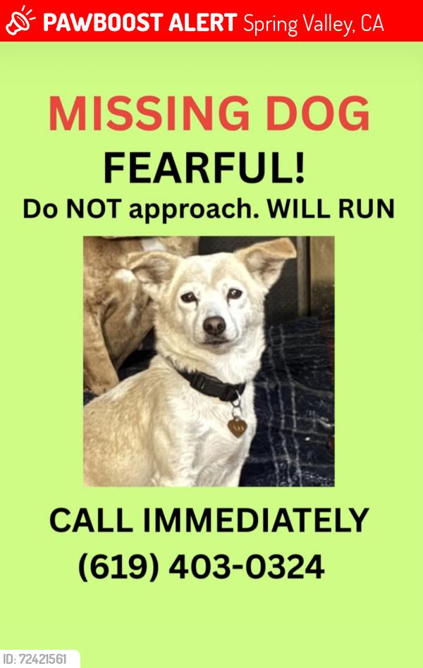 Spring Valley, CA Lost Female Dog, Skyy Is Missing | PawBoost