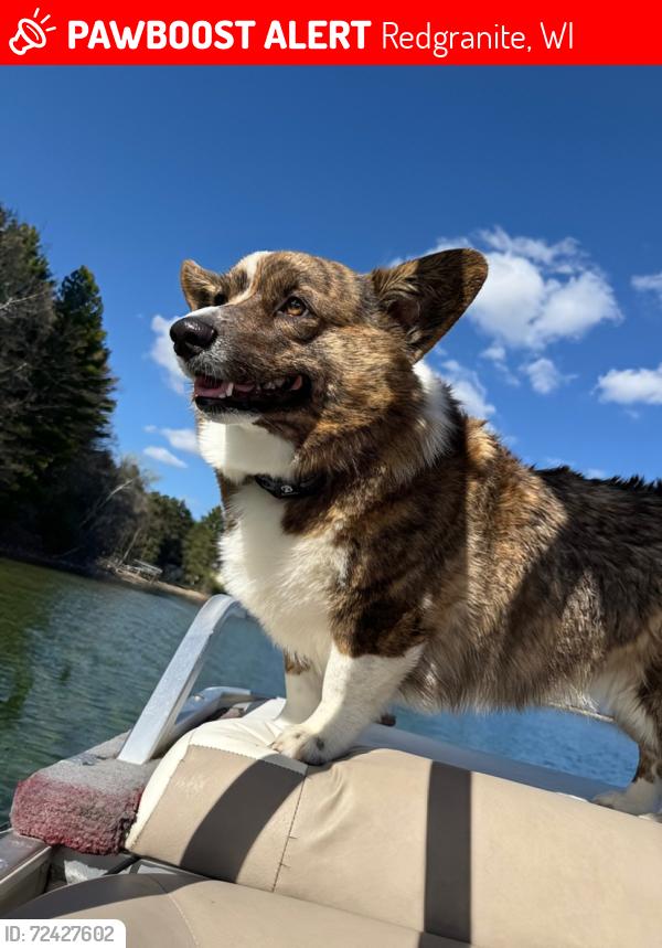 Redgranite, WI Lost Female Dog, Harper Is Missing | PawBoost