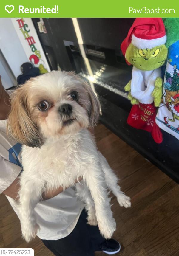 Reunited Female Dog in Milwaukee, WI 53218 (ID: 72425273) | PawBoost