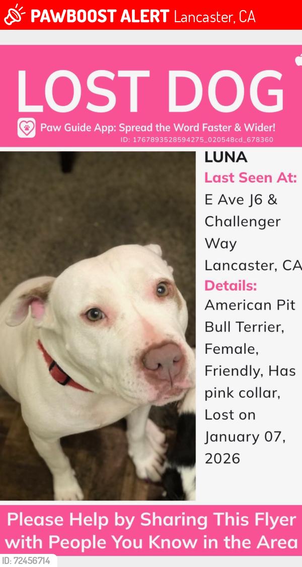 Lancaster, CA Lost Female Dog, Luna Is Missing | PawBoost