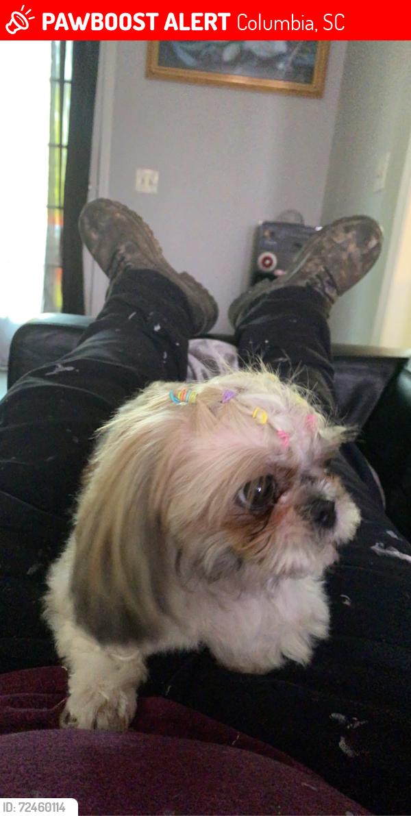 Columbia, SC Lost Female Dog, Ova Is Missing | PawBoost