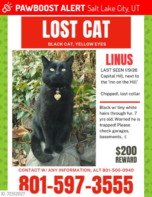 Salt Lake City, UT Lost Male Cat, Linus Is Missing | PawBoost