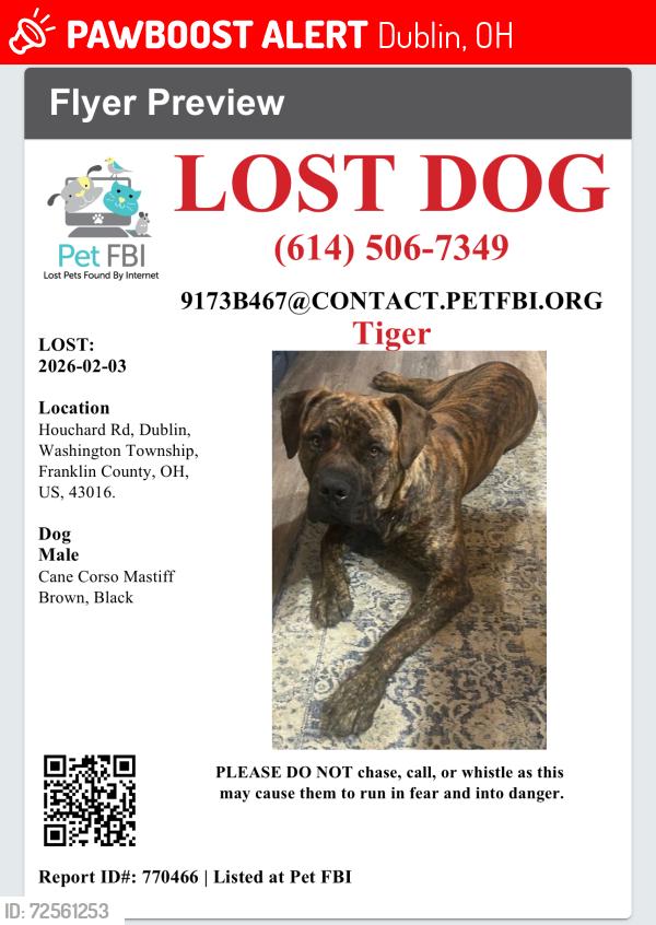 Deceased Male Dog in Dublin, OH 43016 (ID: 72561253) | PawBoost